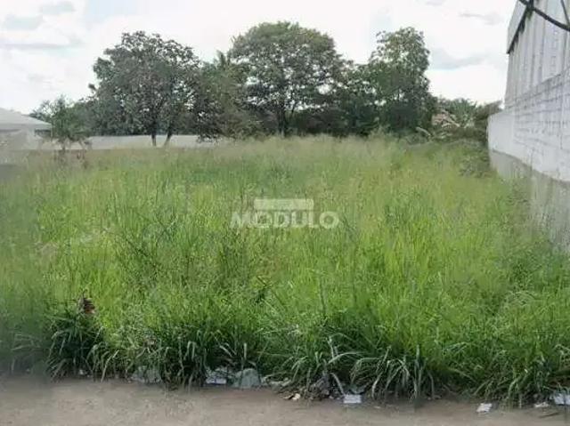 Terreno comercial para Venda em Uberlândia/MG Jaraguá