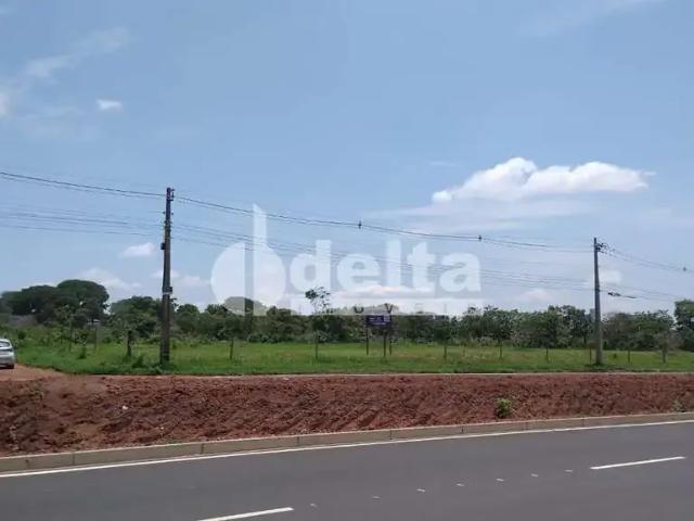Terreno comercial para Venda em Uberlândia/MG Jardim Canaã