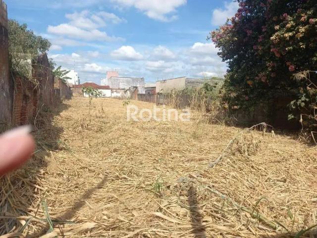 Terreno comercial para Venda em Uberlândia/MG Jardim Célia
