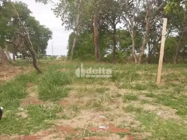 Terreno comercial para Venda em Uberlândia/MG Jardim Botânico