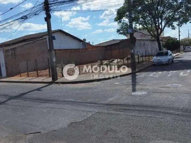 Terreno comercial para Venda em Uberlândia/MG Jardim das Palmeiras