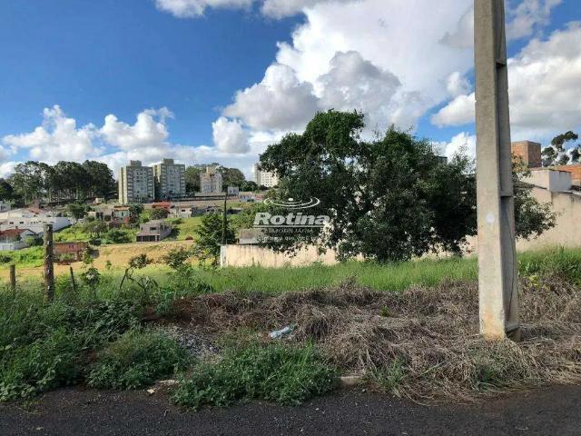 Terreno comercial para Venda em Uberlândia/MG Jardim Inconfidência