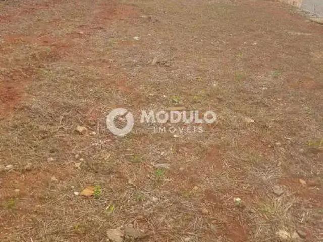 Terreno comercial para Venda em Uberlândia/MG Jardim Sucupira