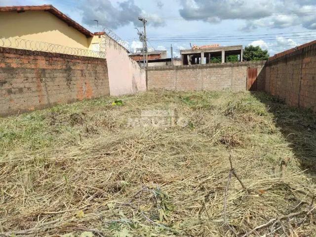 Terreno comercial para Venda em Uberlândia/MG Lagoinha