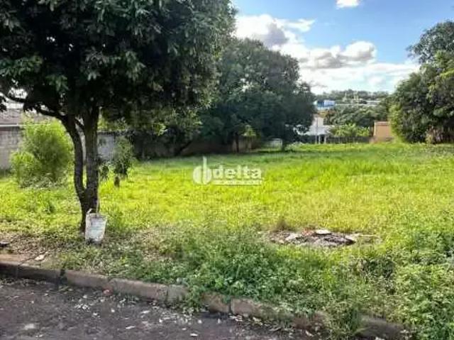 Terreno comercial para Venda em Uberlândia/MG Maravilha