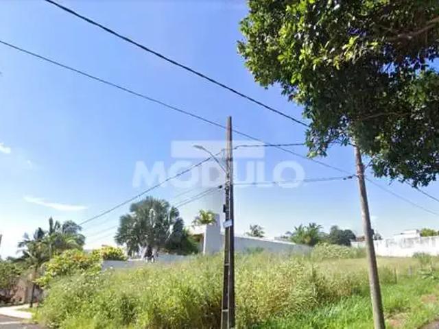 Terreno comercial para Venda em Uberlândia/MG Morada da Colina