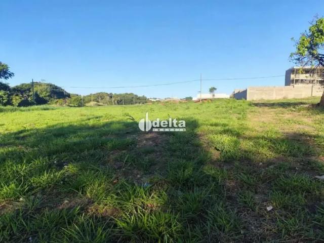 Terreno comercial para Venda em Uberlândia/MG Nossa Senhora das Graças