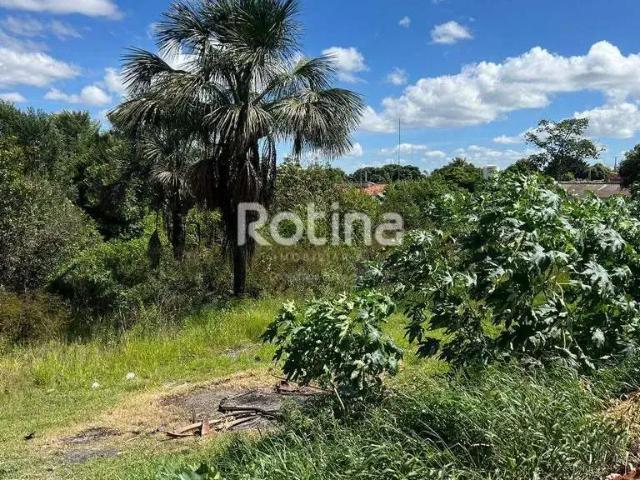 Terreno comercial para Venda em Uberlândia/MG Nossa Senhora das Graças