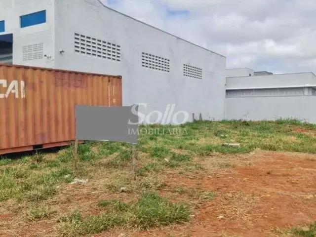 Terreno comercial para Venda em Uberlândia/MG Novo Mundo