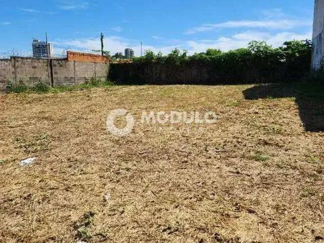 Terreno comercial para Venda em Uberlândia/MG Pampulha