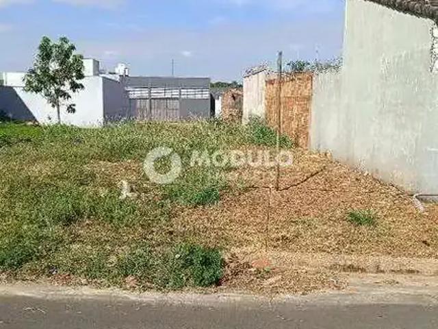 Terreno comercial para Venda em Uberlândia/MG Pampulha