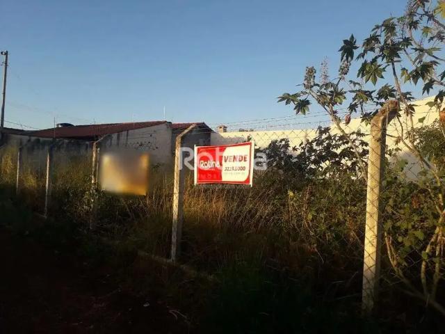 Terreno comercial para Venda em Uberlândia/MG Planalto