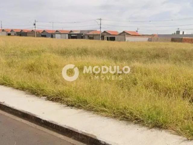 Terreno comercial para Venda em Uberlândia/MG Residencial Fruta do Conde