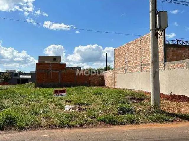 Terreno comercial para Venda em Uberlândia/MG Residencial Integração