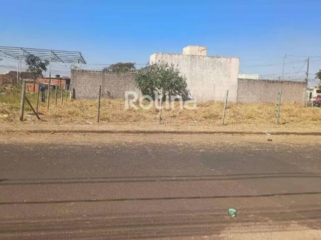 Terreno comercial para Venda em Uberlândia/MG São Jorge