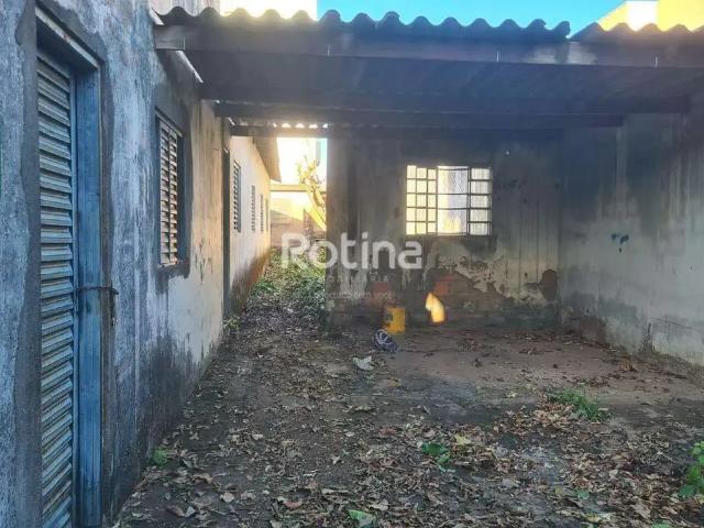 Terreno comercial para Venda em Uberlândia/MG Santa Mônica