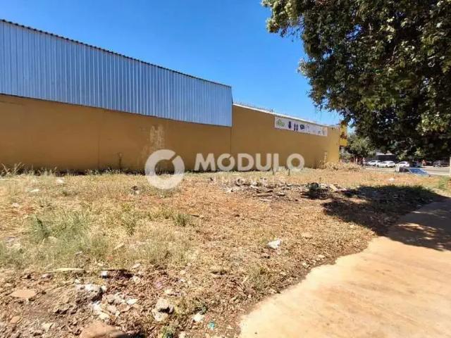 Terreno comercial para Venda em Uberlândia/MG Santa Mônica