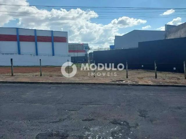 Terreno comercial para Venda em Uberlândia/MG Santa Mônica