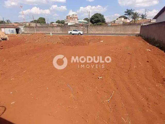 Terreno comercial para Venda em Uberlândia/MG Santa Mônica