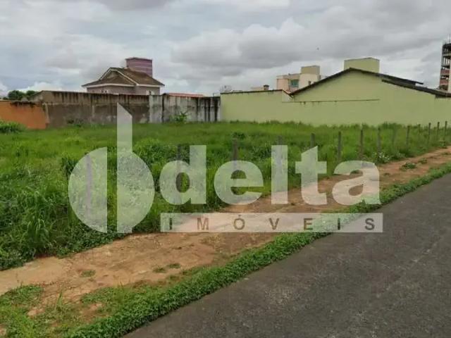 Terreno comercial para Venda em Uberlândia/MG Santa Mônica