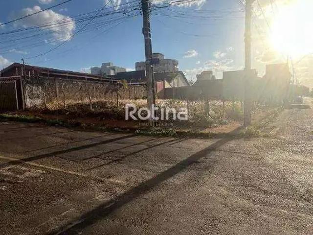 Terreno comercial para Venda em Uberlândia/MG Santa Mônica