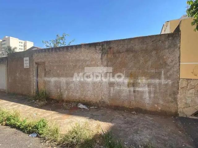 Terreno comercial para Venda em Uberlândia/MG Santa Mônica