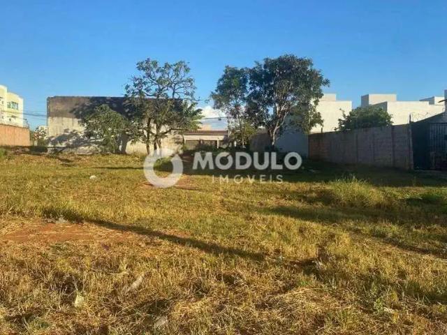 Terreno comercial para Venda em Uberlândia/MG Shopping Park