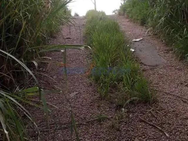 Terreno comercial para Venda em Valinhos/SP Dois Córregos