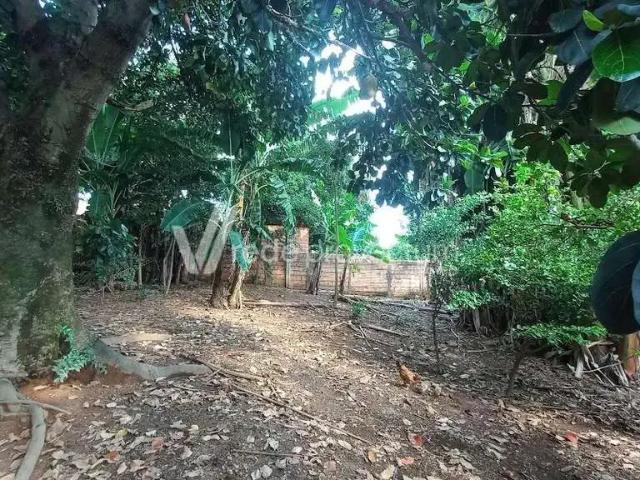 Terreno comercial para Venda em Valinhos/SP Jardim Celani