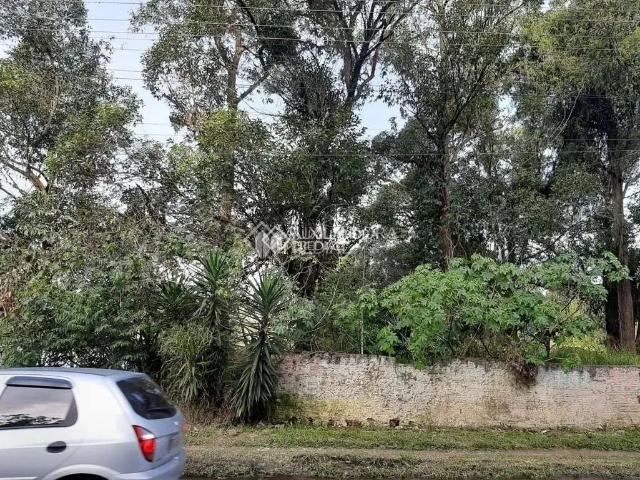 Terreno comercial para Venda em Viamão/RS Santa Isabel