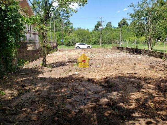 TERRENO COMERCIAL PORTÃO 100metros da RS 240