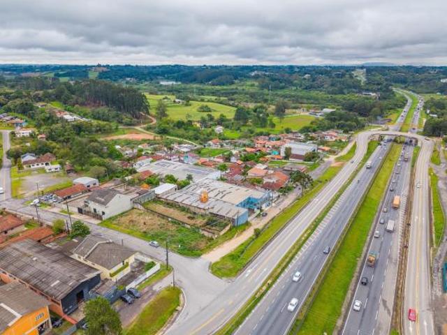 Terreno Comercial, Plano, Campo Largo