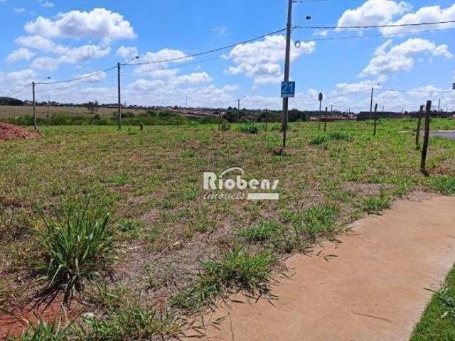 Terreno Comercial Residencial Cedral Esquina