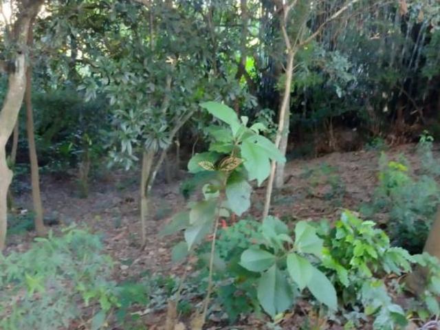 Terreno comercial Rua Santo Antonio Itatiba/SP