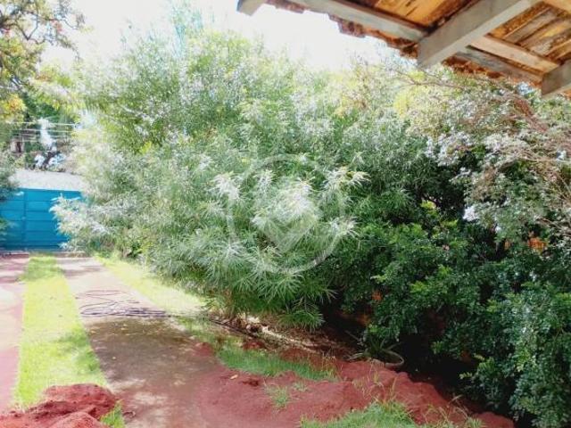 Terreno Comercial sento 2.440m2 no Joana Dark