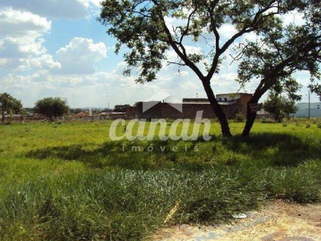 Terreno Comercial/Área Incorporação Vila Carvalho Ribeirão