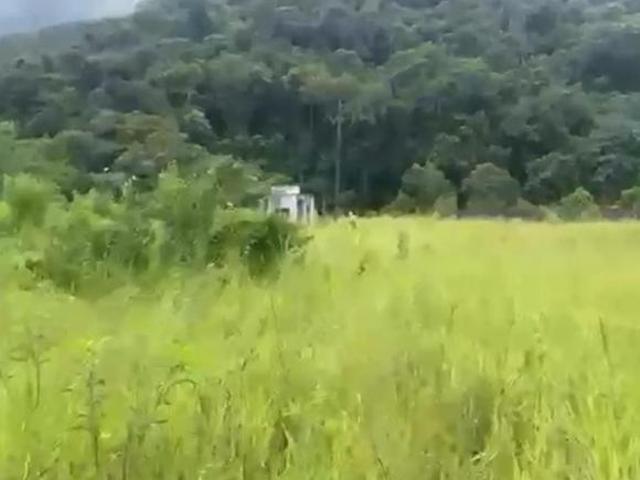 Terreno comercial/industrial à venda – BR 116 – Miracatu/SP