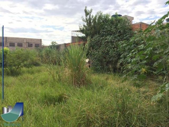 Terreno comercial/residencial à venda Rua Barretos Ribeirão Preto
