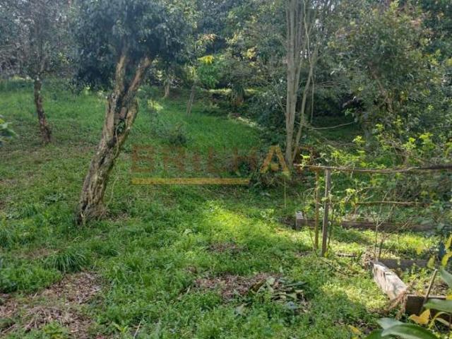 Terreno comprar bairro Panazzolo