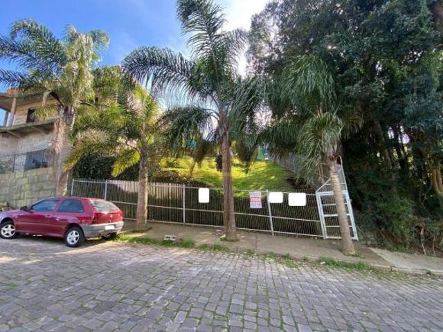 Terreno comprar bairro Pioneiro