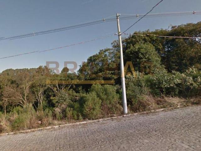 Terreno comprar Bairro São Luiz