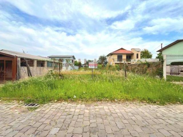 Terreno comprar no Desvio Rizzo