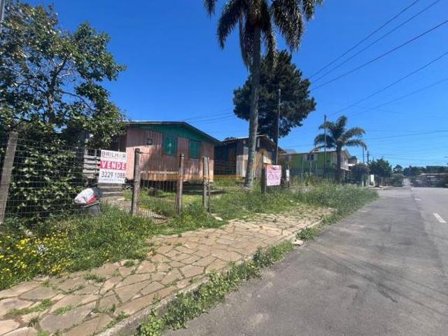 Terreno comprar no Diamantino