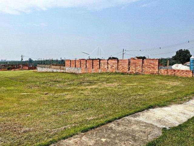 TERRENO CONDOMÍNIO,0 Dormitorio s bairro Jequitibá FAZENDA JEQUITIBÁ RESIDENCIAL