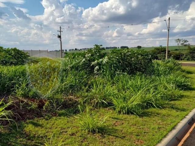 Terreno Condomínio em Cravinhos