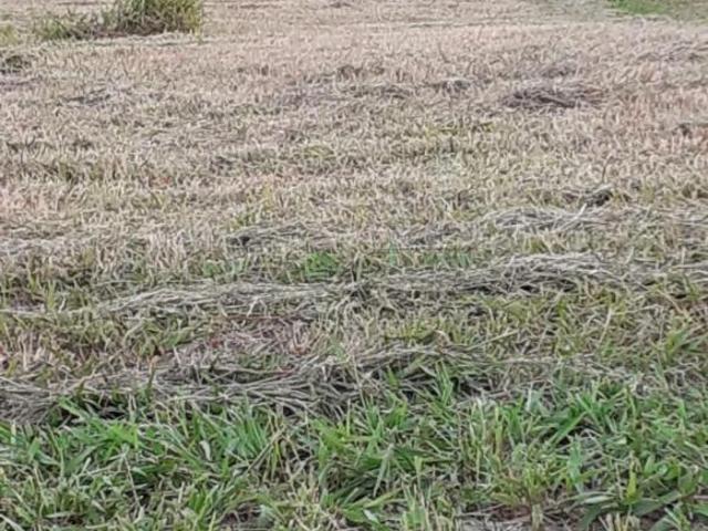 Terreno Condomínio em São Carlos