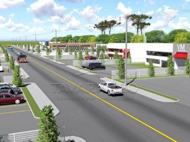 Terreno Condomínio em Ponta Grossa