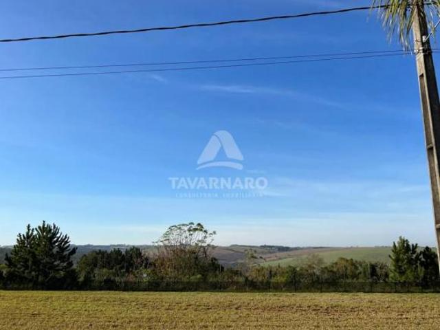 Terreno Condomínio em Ponta Grossa