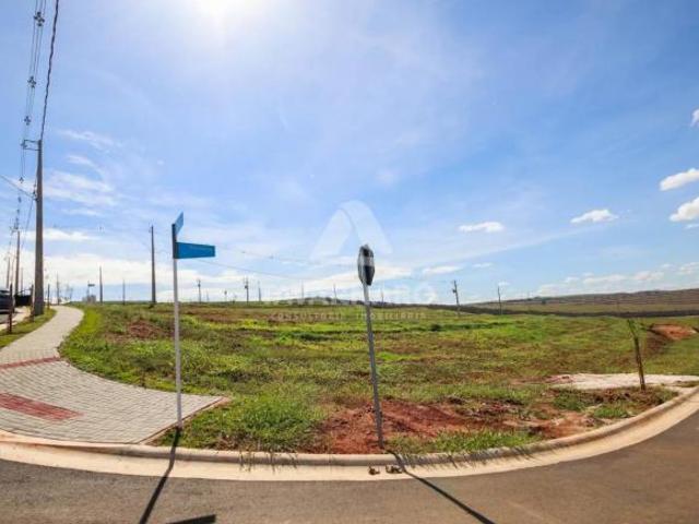 Terreno Condomínio em Ponta Grossa