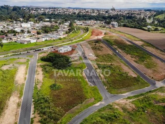 Terreno Condomínio em Ponta Grossa
